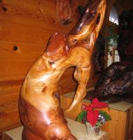 Photo Gallery - Past Work