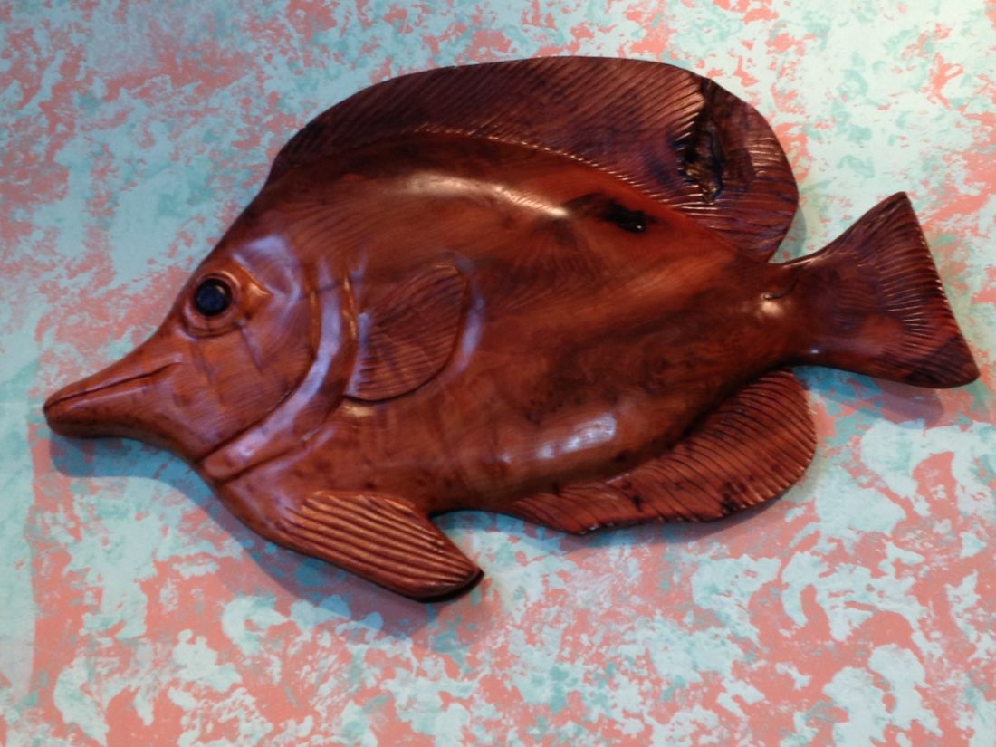 Photo Gallery - Past Work